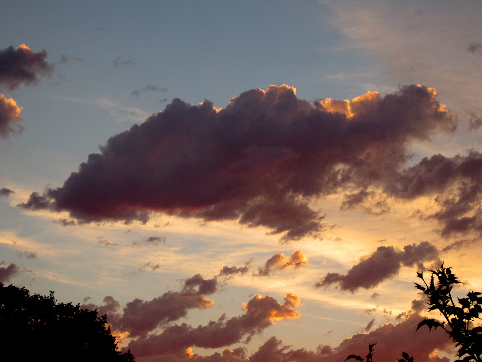 Thom Zehrfeld Photography : Skyscapes Over Oregon