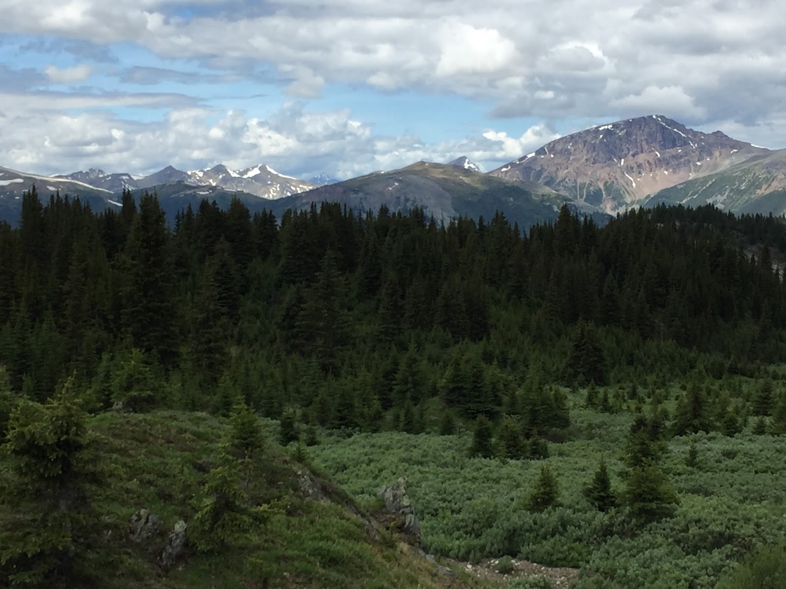 venturing4th: Opal Hills Loop