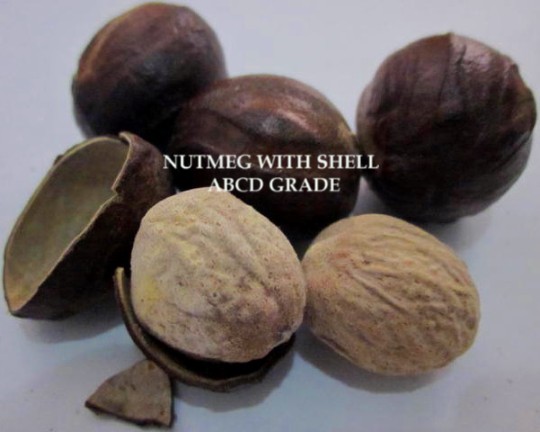 NORTH SUMATERA AGRO SPICES LOGISTIC