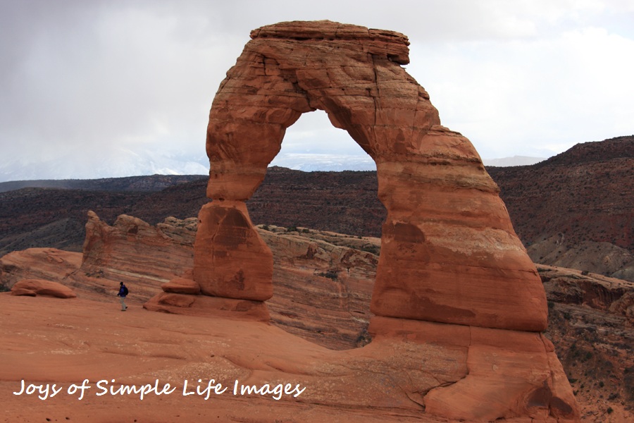 The Joys of Simple Life: Against the Giants