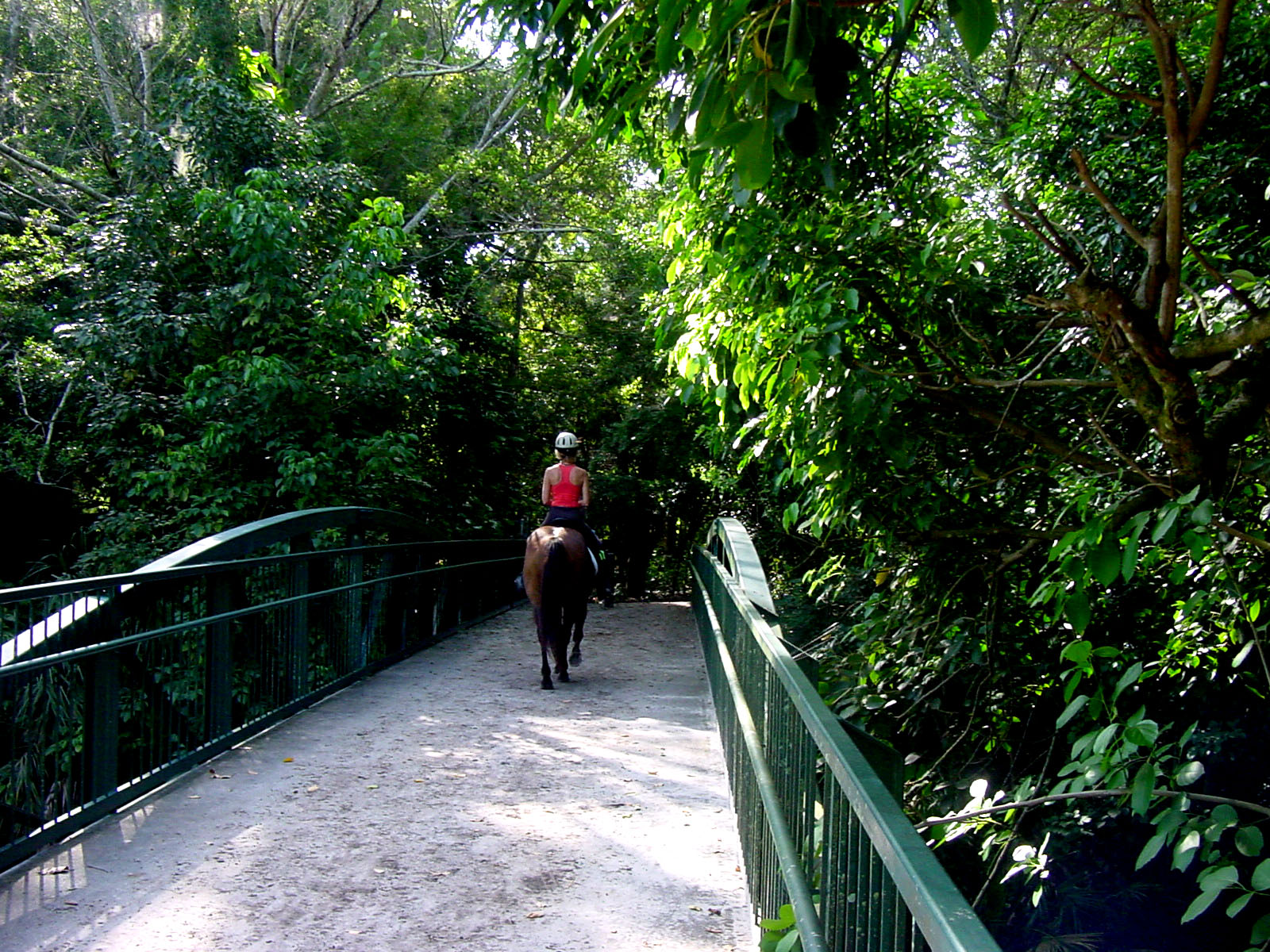 South Florida Guy: Robbins Park - Davie