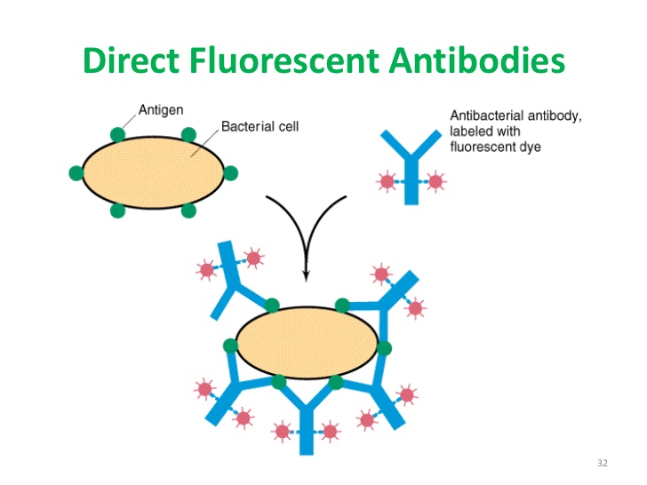 Lecture Notes in Medical Technology: Lecture #18: LABORATORY DIAGNOSIS ...