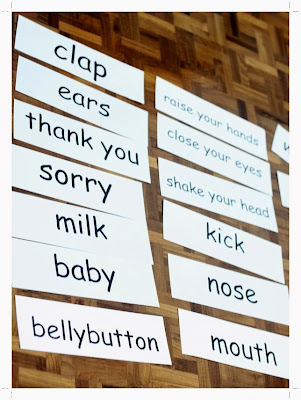 Our happy little king !: Baby Can Read - How I teach my baby