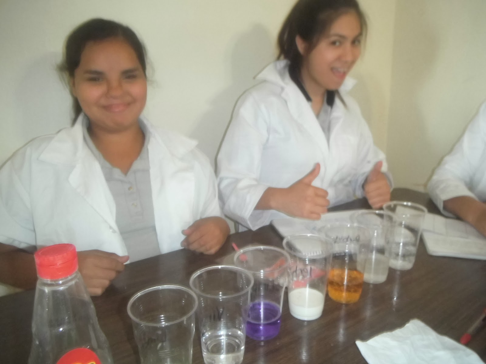 Información para Padres de familia Instituto ICADES: LABORATORIO 3ERO ...