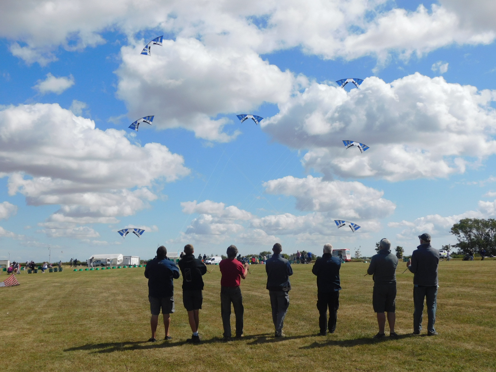Flying Fish Kiting Team: Dunstable Kite Festival