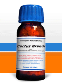 Cactus Grandiflorus | Click2Homeopathy-Homeopathy Remedies