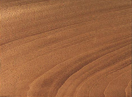 MOGNO (MAHOGANY) - O REI DA LES PAUL