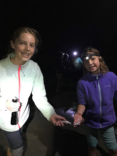 Here and There: Oceanside Grunion Run