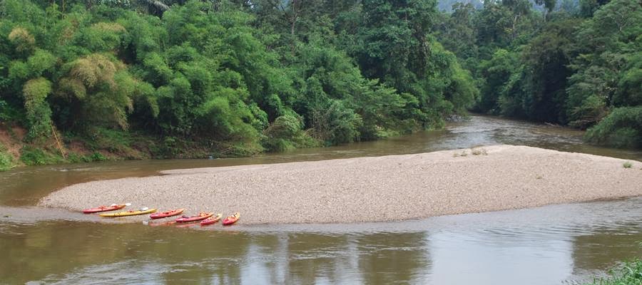 Sarawak Mirror: Danu Village Stay is the ultimate in "meet-the-people ...