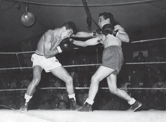 V.A.R Ed.Física: Boxe 3º Ano