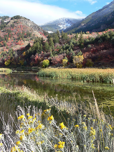 Lens Of Darrin: Many Facets of Logan Canyon