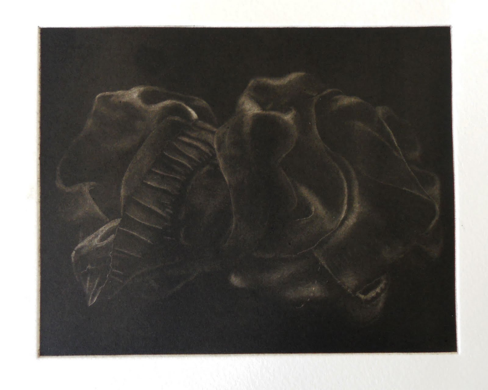 Nicola O'Byrne Printmaking: Mezzotint in progress