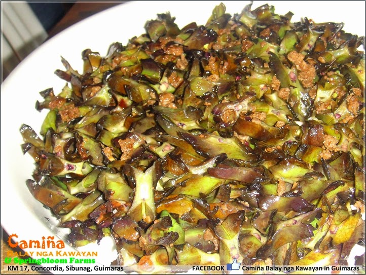 Farm-to-Plate Lunch Buffet at Camiña Balay nga Kawayan in Guimaras