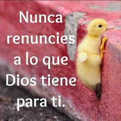 VUELVE A INTENTARLO!!!