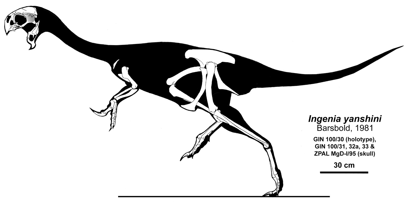 Escenarios prehistóricos: Ajancingenia