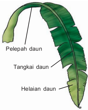 Yellow Army: IPA KELAS 4 SD (daun)