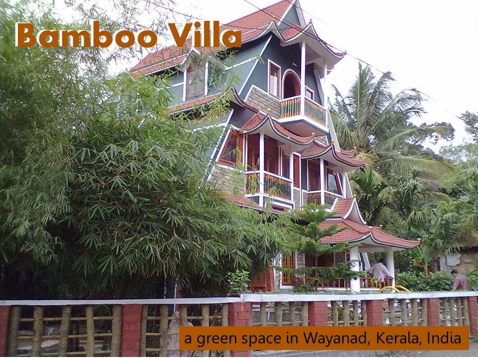 Bamboo Villa: Wayanad