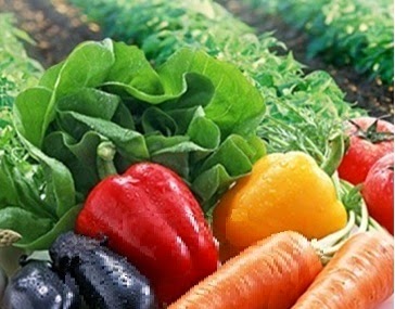 FERTILIZANTES BIOFERT