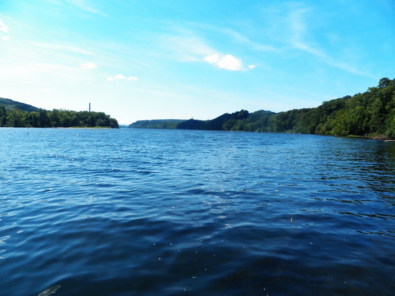 Connecticut Fly Angler: Eels, a Tiny Fluke, and Connecticut River ...