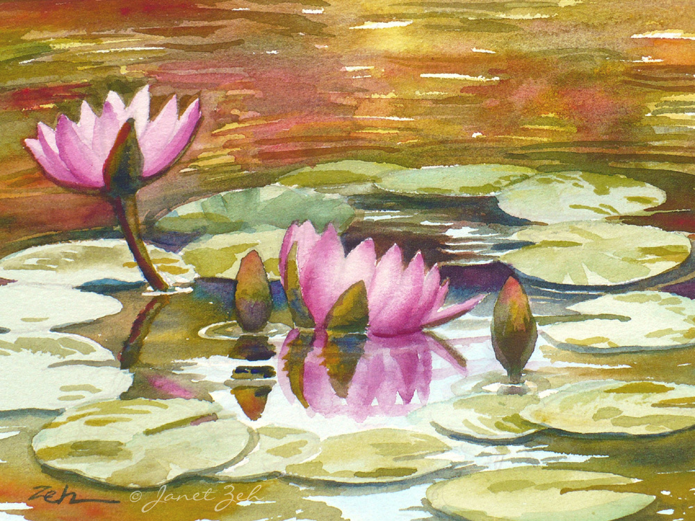 Janet Zeh Original Art Watercolor and Oil Paintings: Pink Water Lily ...