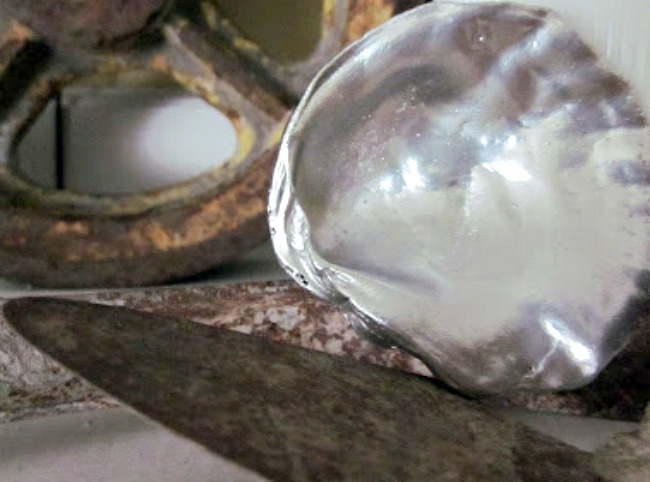 Crafting with Shiny Sea Shells