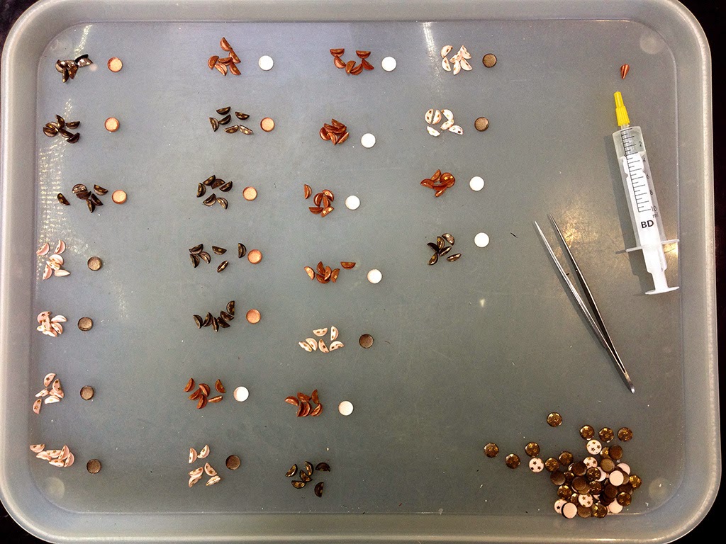 Craftwork Cards Candi