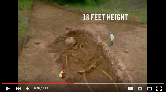 World tallest human skeleton Found in India.Watch video | Creative Thought