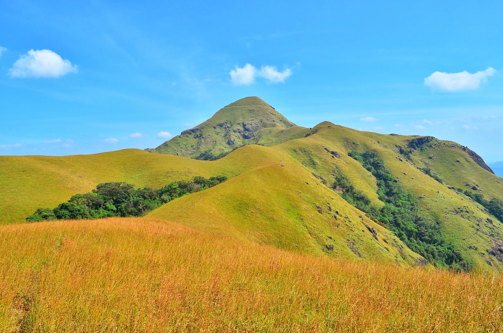 Sharath Hassan A Travelling Photographer: JENUKALLU GUDDA (JENUKAL ...