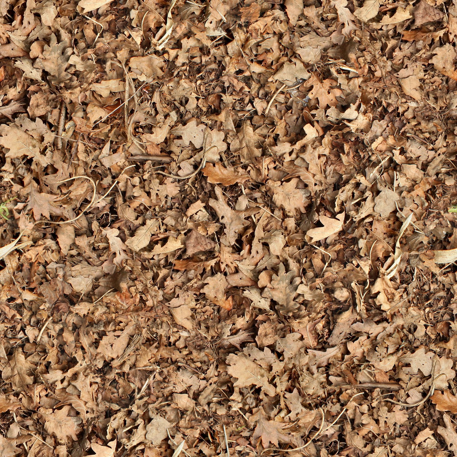 HIGH RESOLUTION TEXTURES: Free Seamless Ground Textures