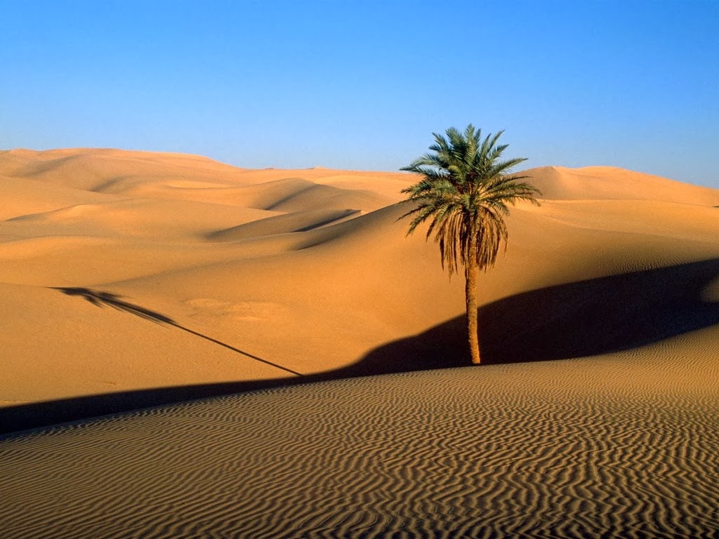 TodoCantoDoMundo: Deserto do Saara, norte da África