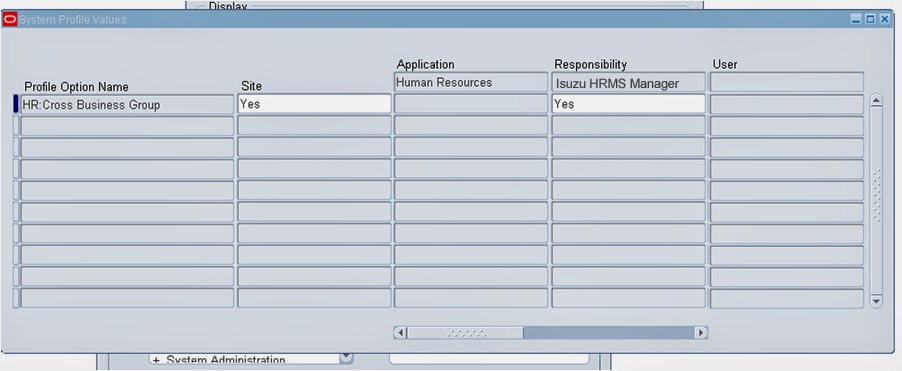Oracle Apps HRMS : Profile Options Setup for Business Group