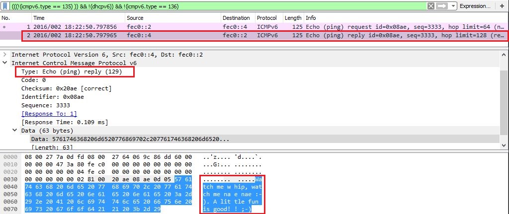 Learning by practicing: Crafting your first IPv6 ICMPv6 Echo Request ...