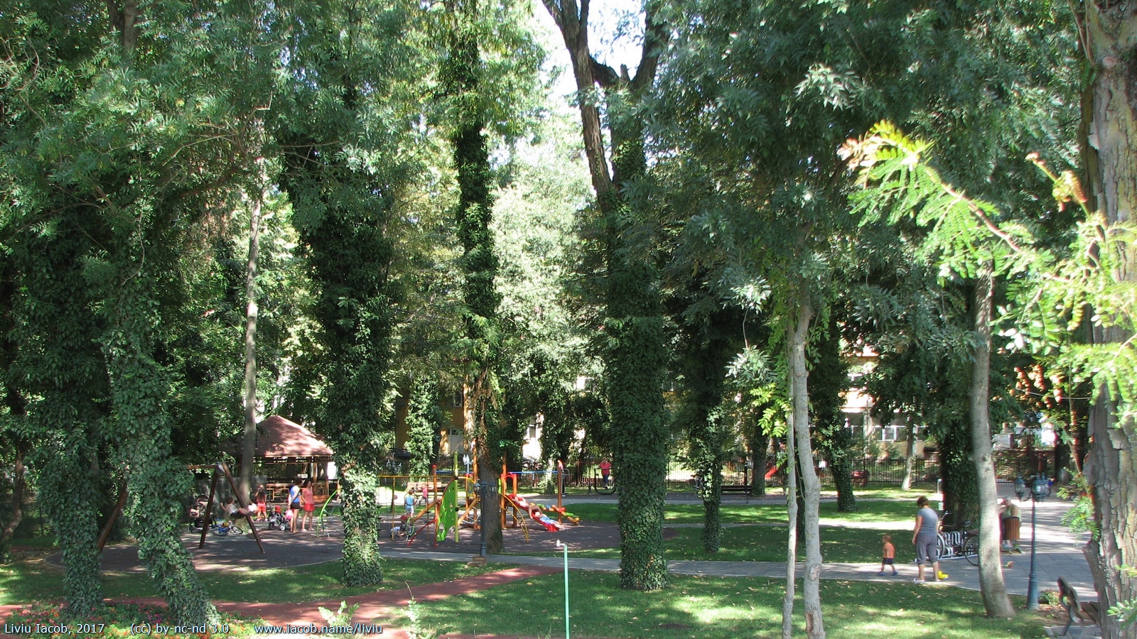 Traseu in Ilfov: Branesti (Padurea Pustnicu + Raul Pasarea ...