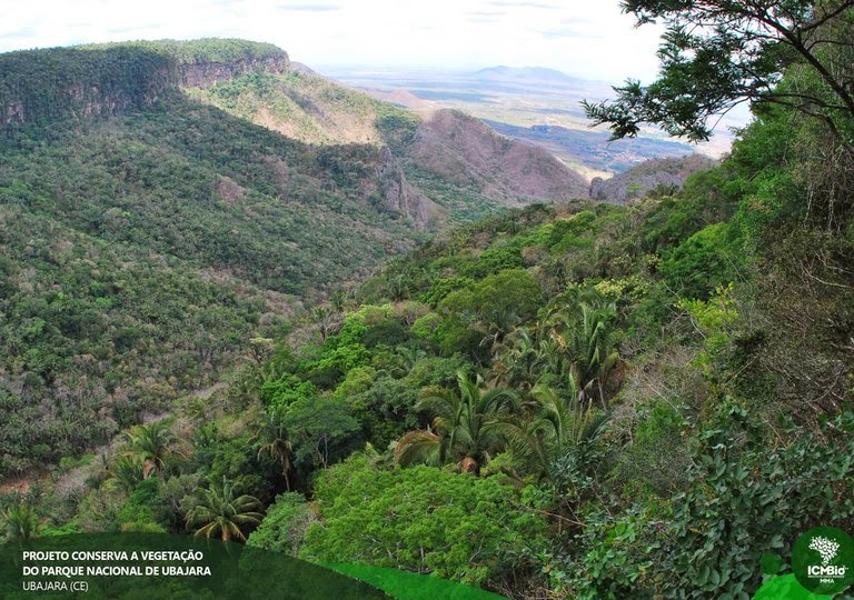 TIANGUÁ AGORA: PARQUE NACIONAL DE UBAJARA (CE), ADOTA TÉCNICAS DE ...