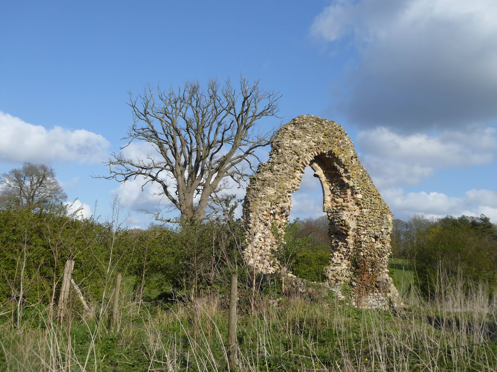 Wild and Wonderful: The Yare Valley