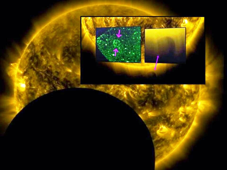 Unknown massive objects near the Sun caught on NASA’s Satellites