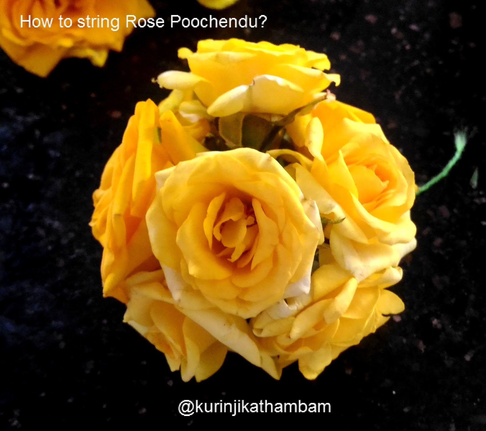 How to string Rose Garland? / How to tie Rose Poochendu? ~ Kurinji ...