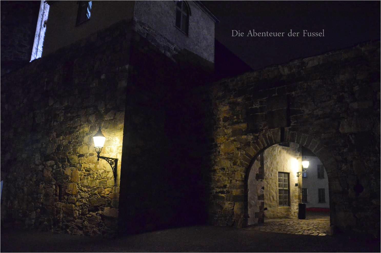 Die Abenteuer der Fussel