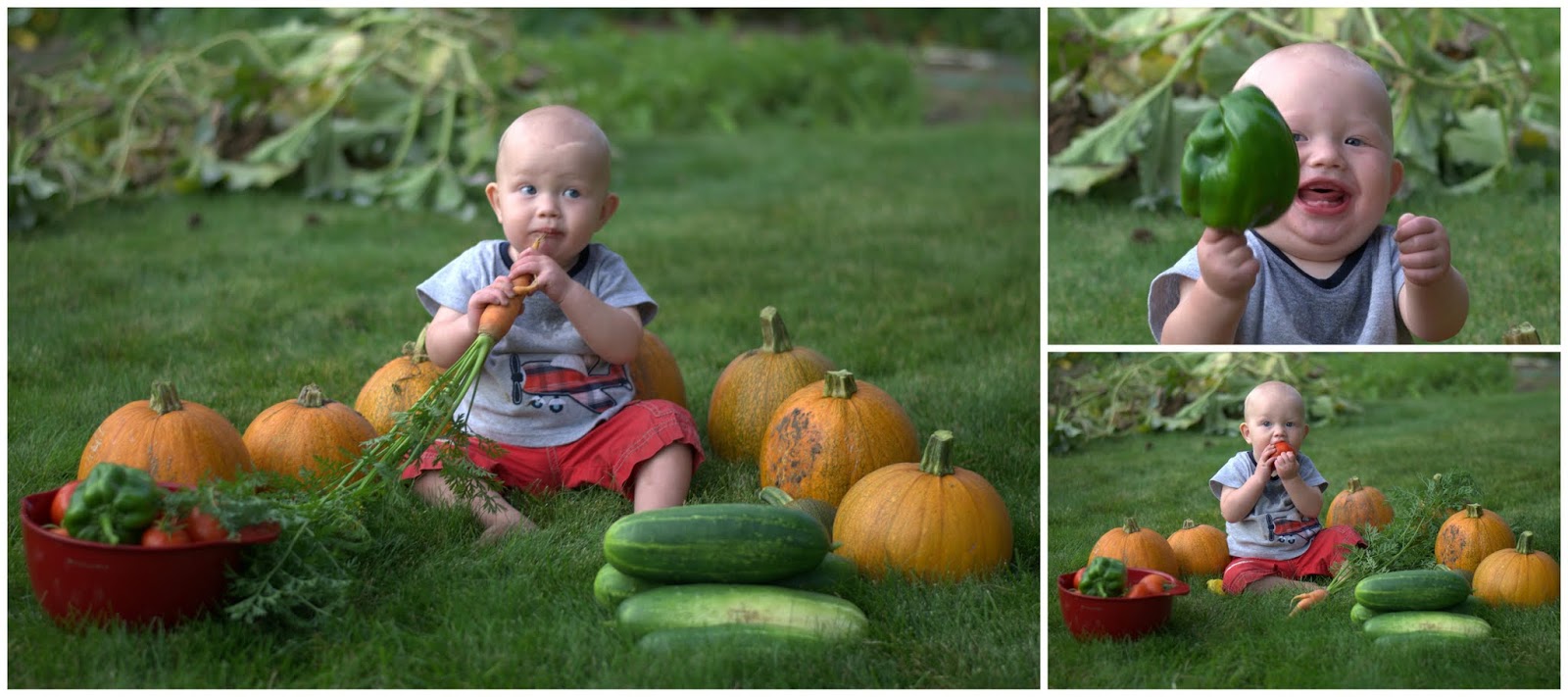 The Ririe Family: A Splash of Green