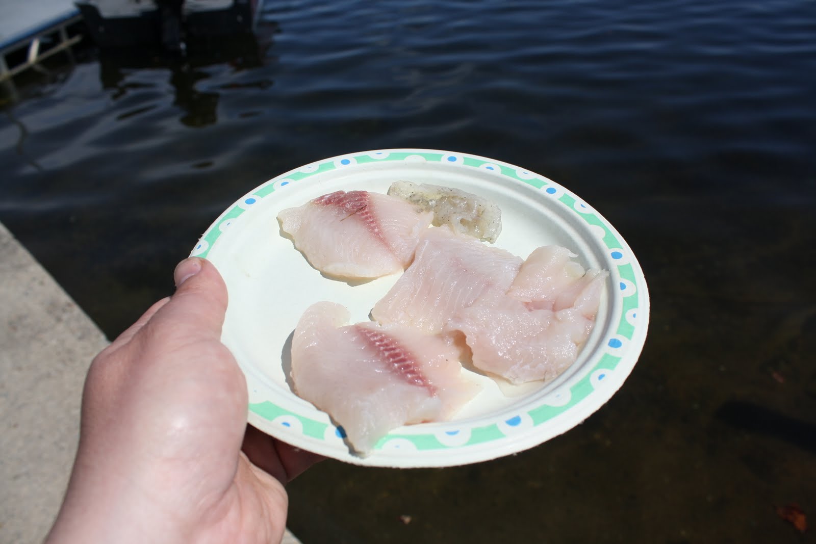 Catch-M-All: White Perch Lunch