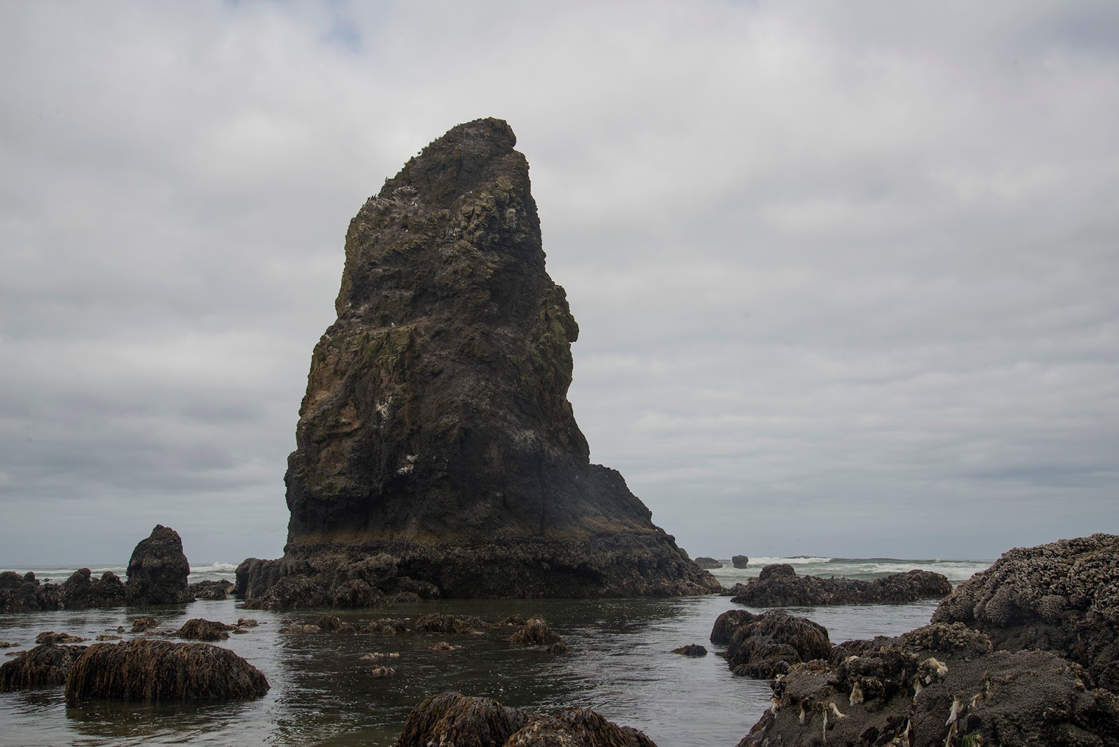 Oregon Coast Tide Pools at Hug Point and Cannon Beach - light-in-leaves