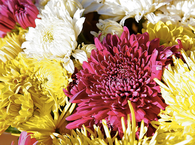 The Language Journal: Hanakotoba, a Japanese secret language using flowers