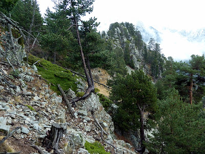 Asociacion de Cazadores Valles de Bielsa: Jornada 12 El Cosier ( 25-11-12 )