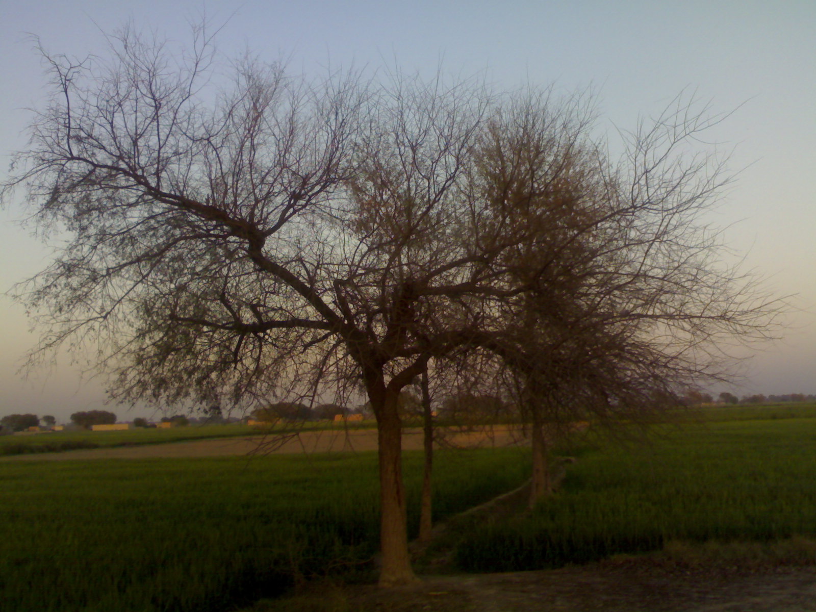 VEHARI IS BEAUTIFUL CITY OF PAKISTAN: FAMOUS VILLAGES IN VEHARI