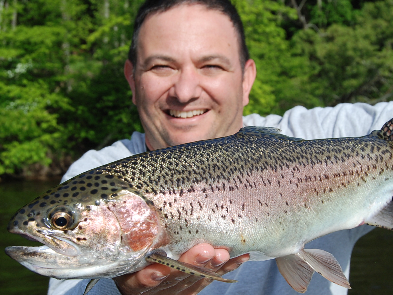 Michigan Fly Fishing Reports - Muskegon, Pere Marquette, Manistee ...