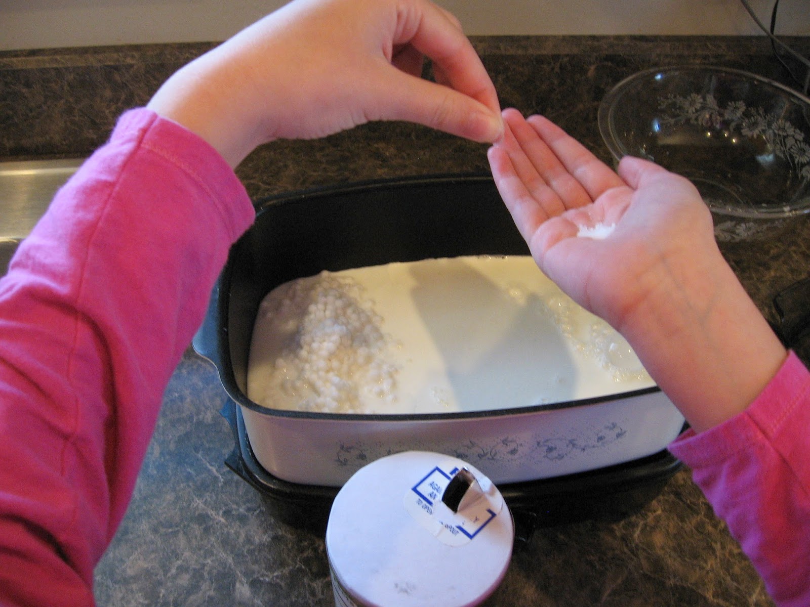 Almost Unschoolers: Summer Fun 2014 - Tapioca Tasting - Starch Play for ...