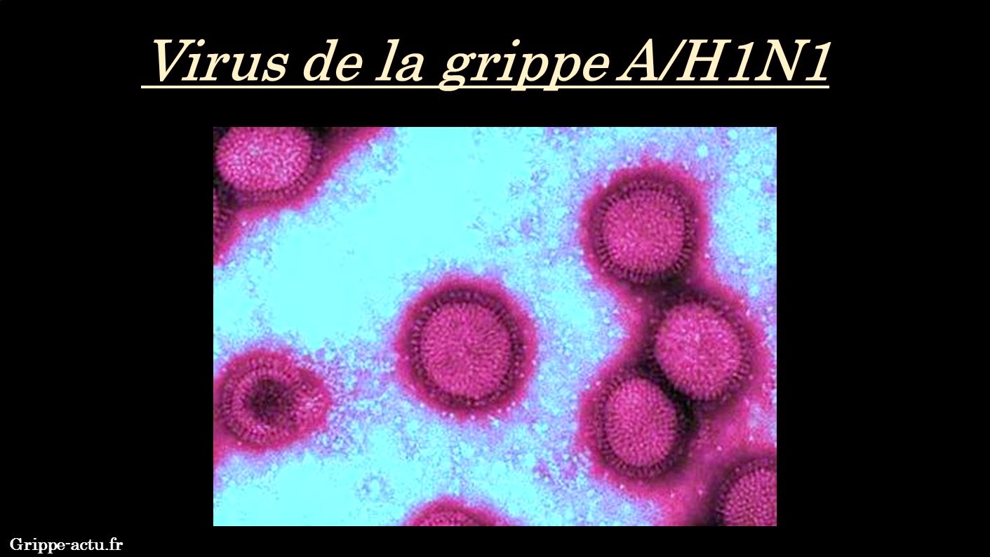 Le labo d'Anissa - SVT: Chapitre 1 : La contamination par les micro ...