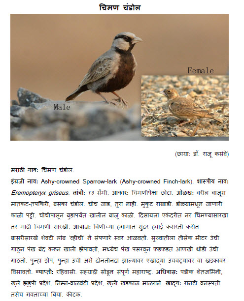 World Tourist Destinations: Bird information in marathi