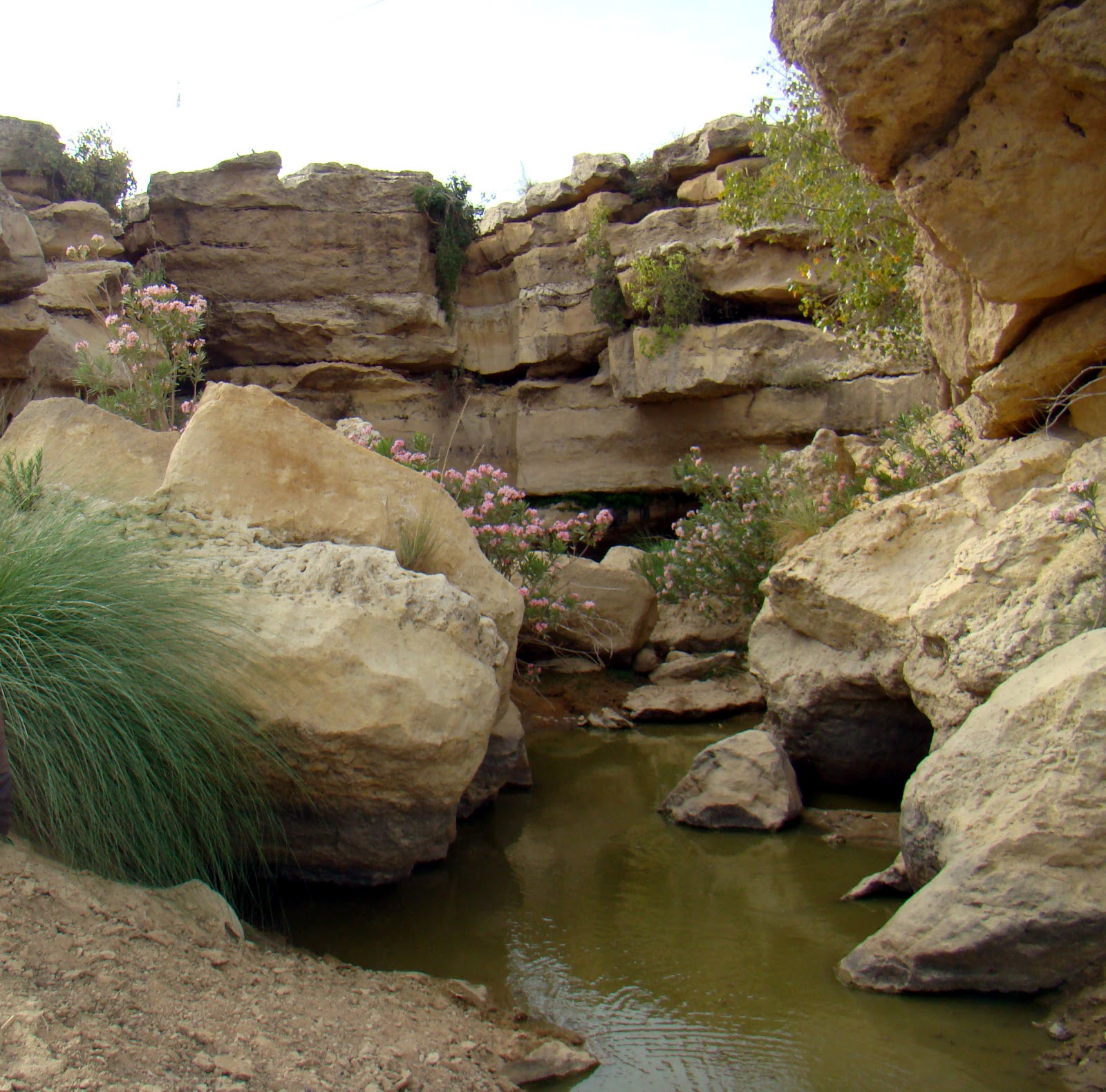 Explore Indialand: Kirthar National Park – Adventures In Southern Pakistan