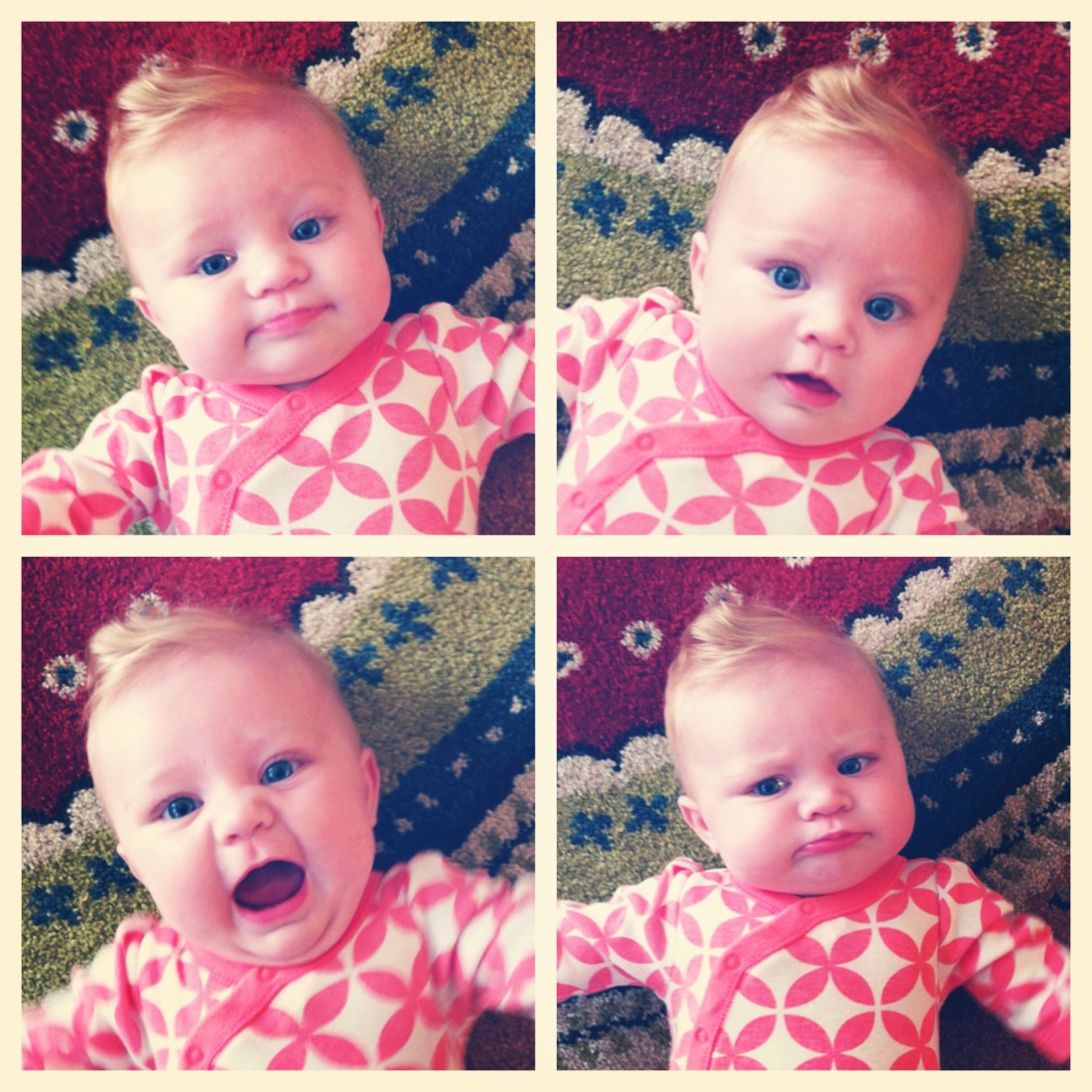 5 Months MADE EVERYDAY 5-months-made-everyday